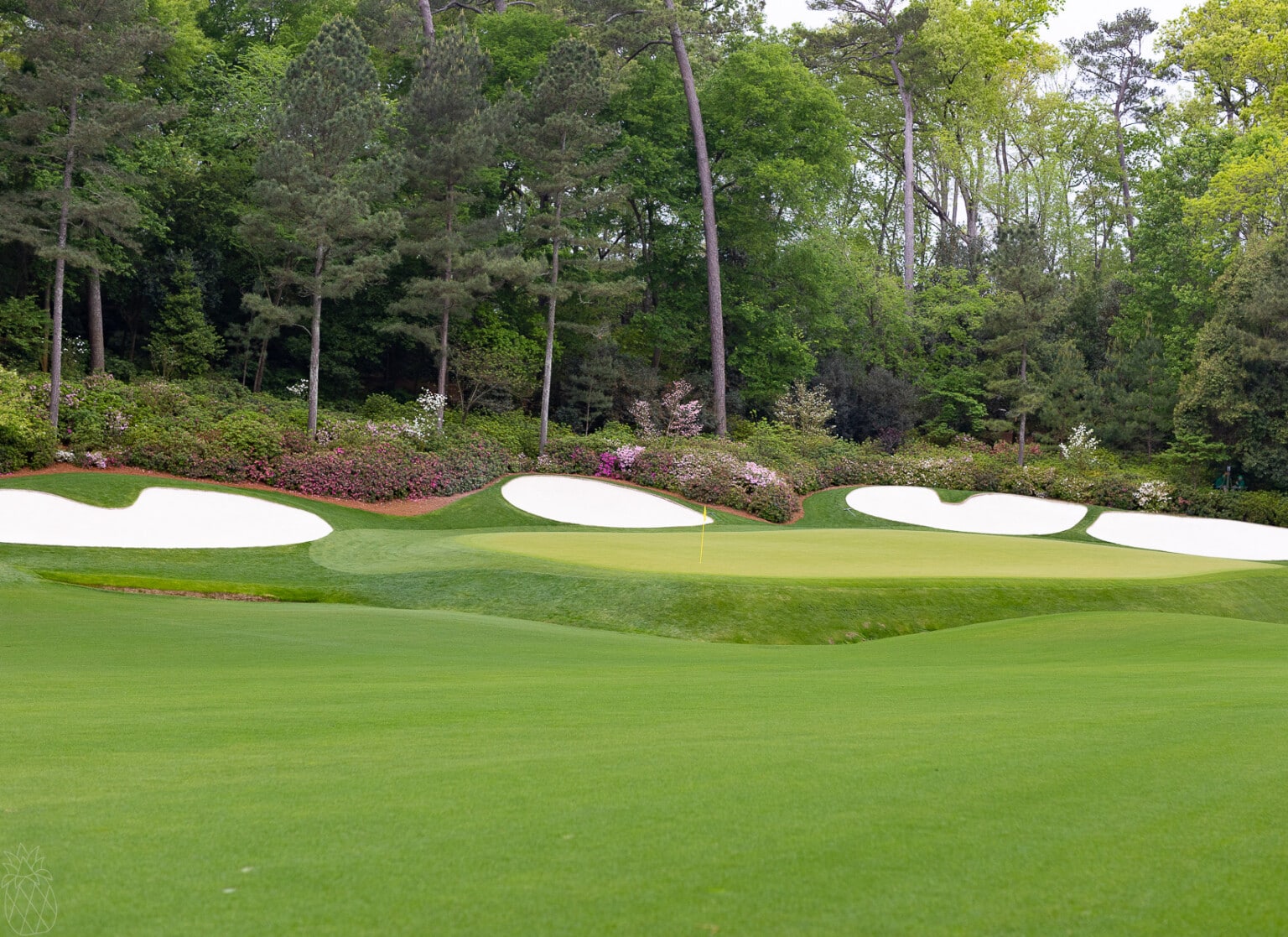 Pink Azalea Drink Recipe Inspired by Augusta National