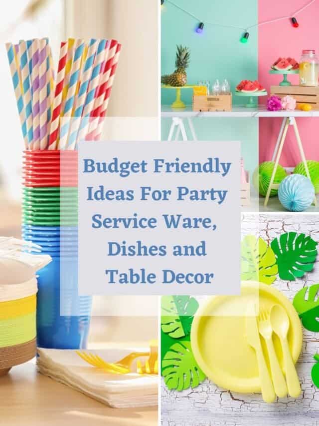 60+ Cheap Party Finger Food Ideas