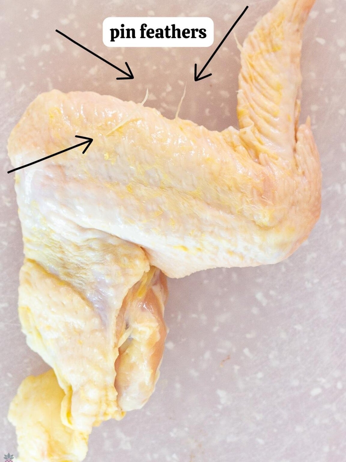 How To Cut Chicken Wings: Step-By-Step Guide & Tips - Intentional ...