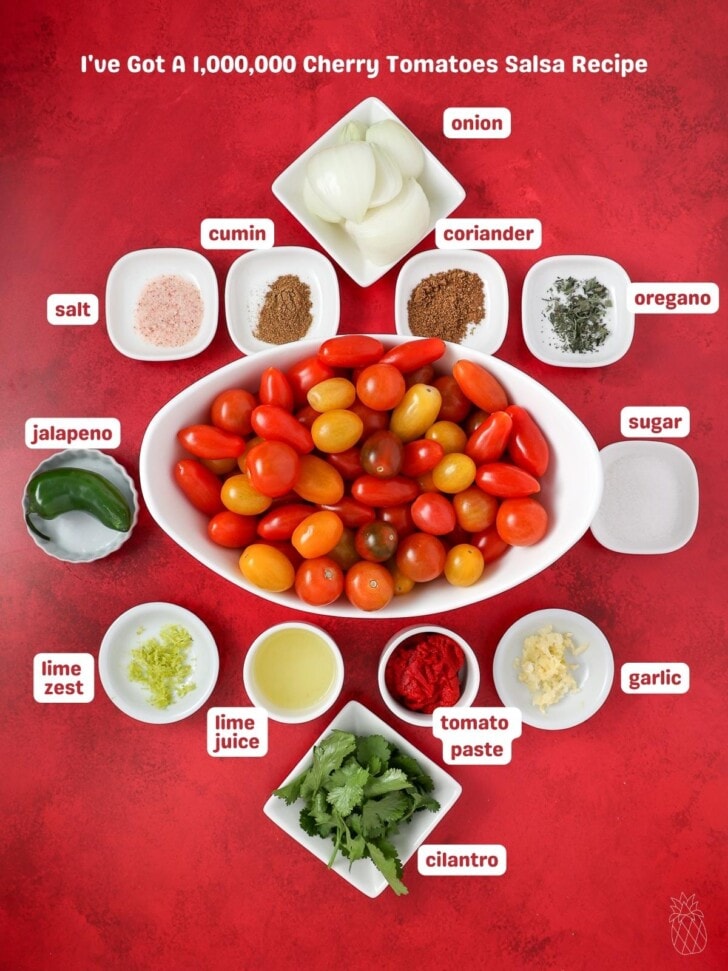 Fresh Cherry Tomato Salsa Recipe