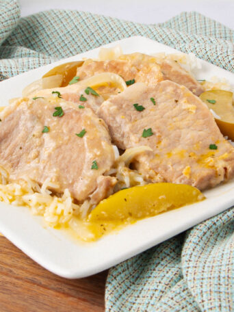 Crock Pot Pork Chops Hidden Valley Ranch Recipe