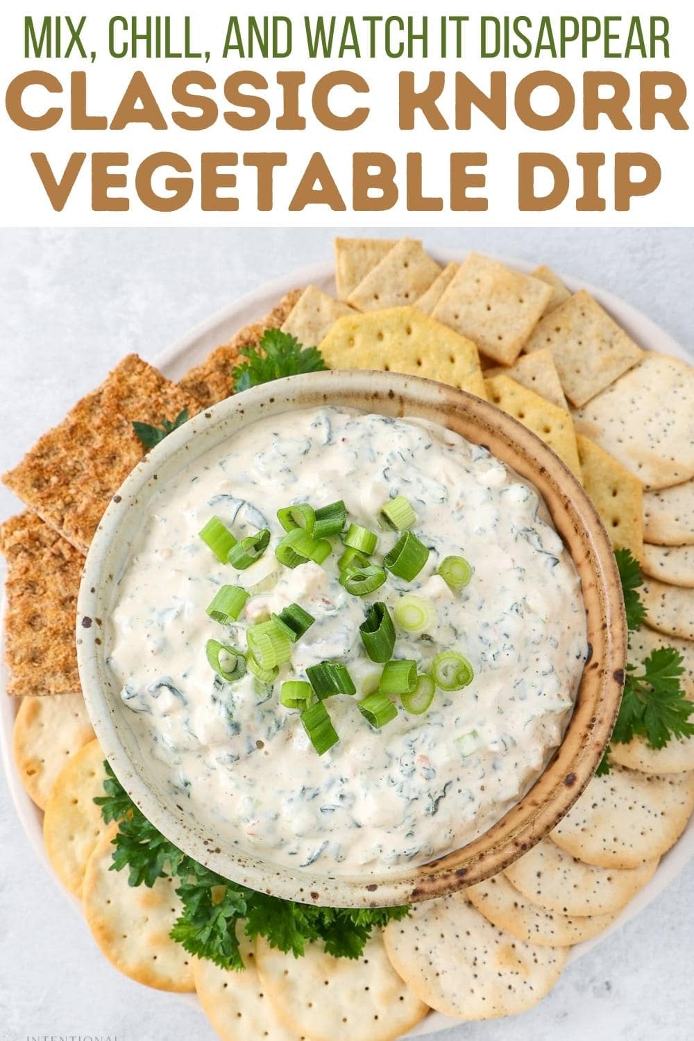 Classic Knorr Vegetable Dip Recipe - Intentional Hospitality