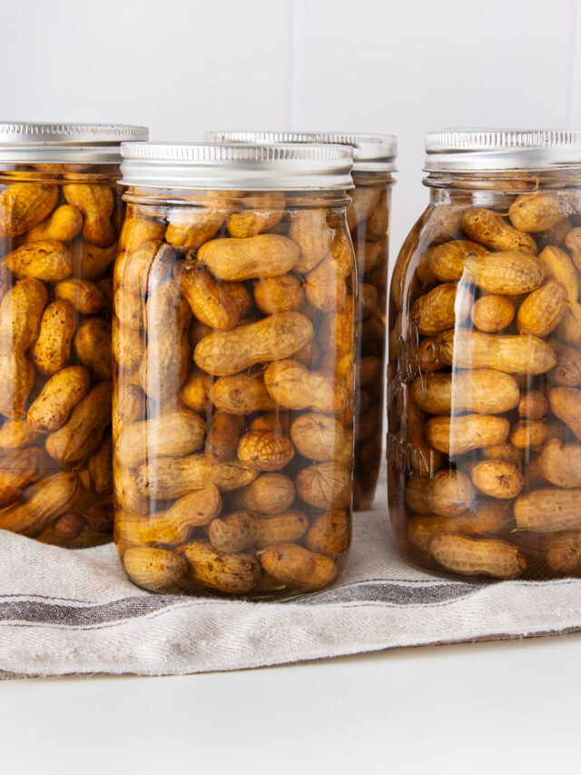 How to Can Boiled Peanuts Like a Southerner - Intentional Hospitality